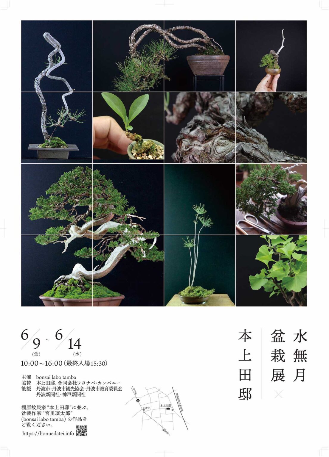 Exhibitions – BONSAI LAB. Tamba