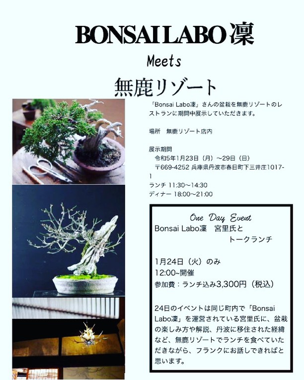 Exhibitions – BONSAI LAB. Tamba